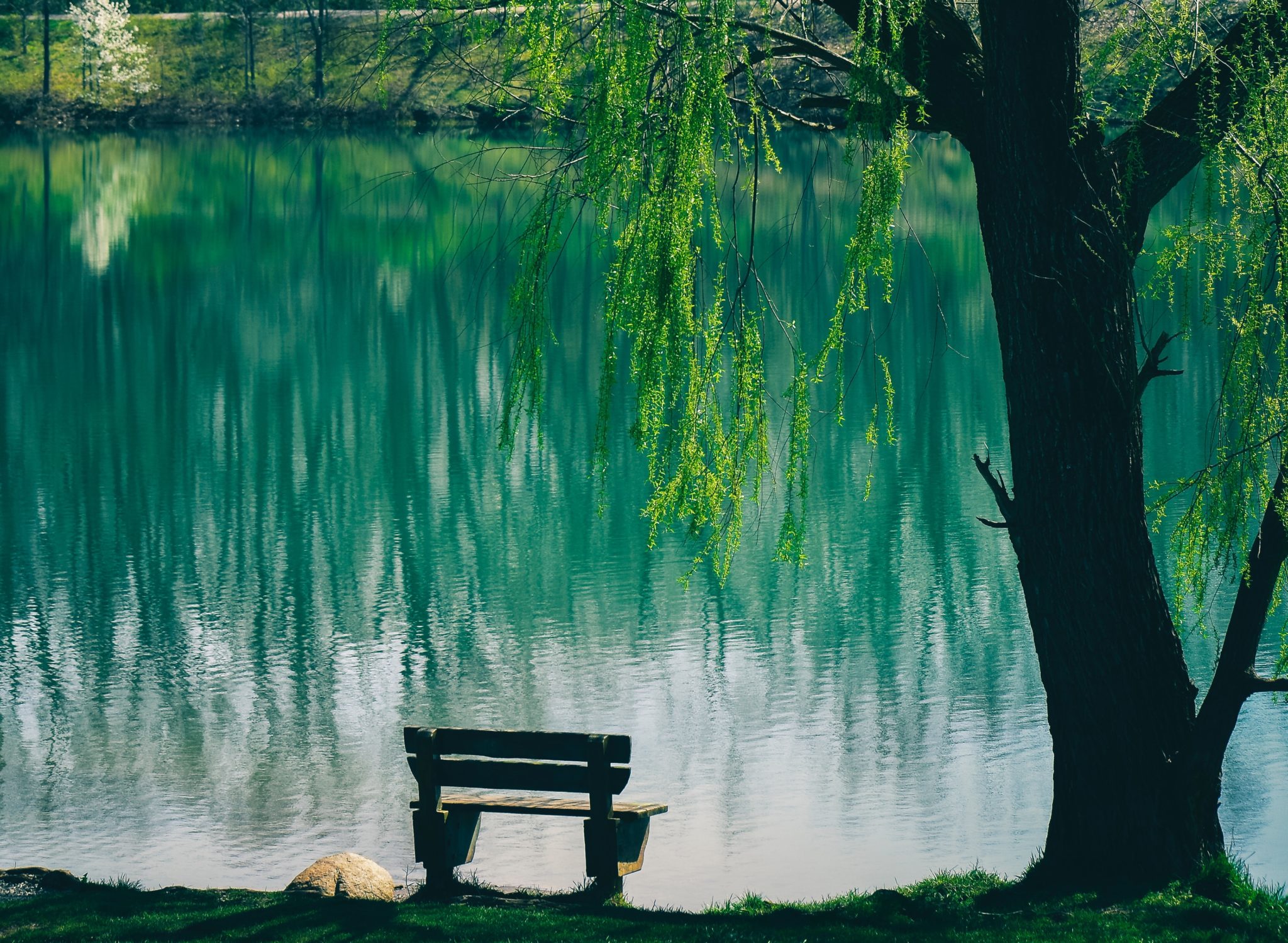 What is Lectio Divina?: Benefits of Contemplative Reading for Everyday ...